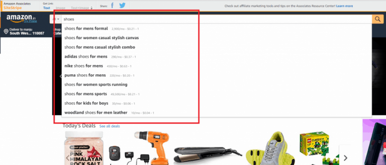Amazon SEO Strategy & Search Term Optimisation - Tej SolPro